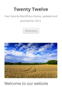 Change the design of the Twenty Twelve Theme with CSS Hero