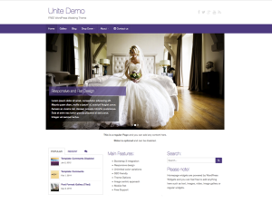 WordPress themes with live CSS editing (with demos!)