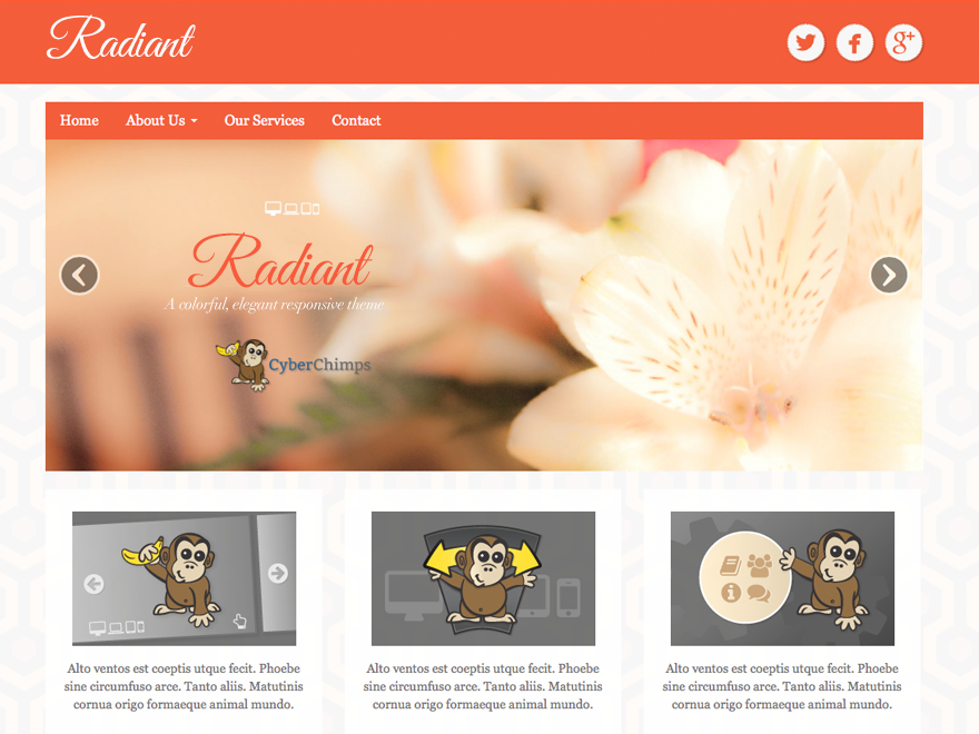 Radiant WordPress Theme a full Responsive WP Theme