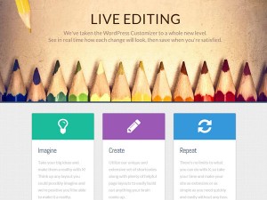 WordPress themes with live CSS editing (with demos!)