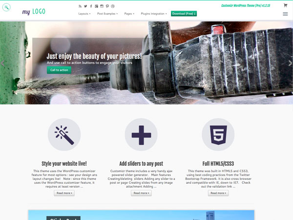 Customizr WordPress theme and CSS Hero Live Design editor