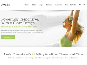 WordPress themes with live CSS editing (with demos!)