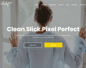 WordPress themes with live CSS editing (with demos!)